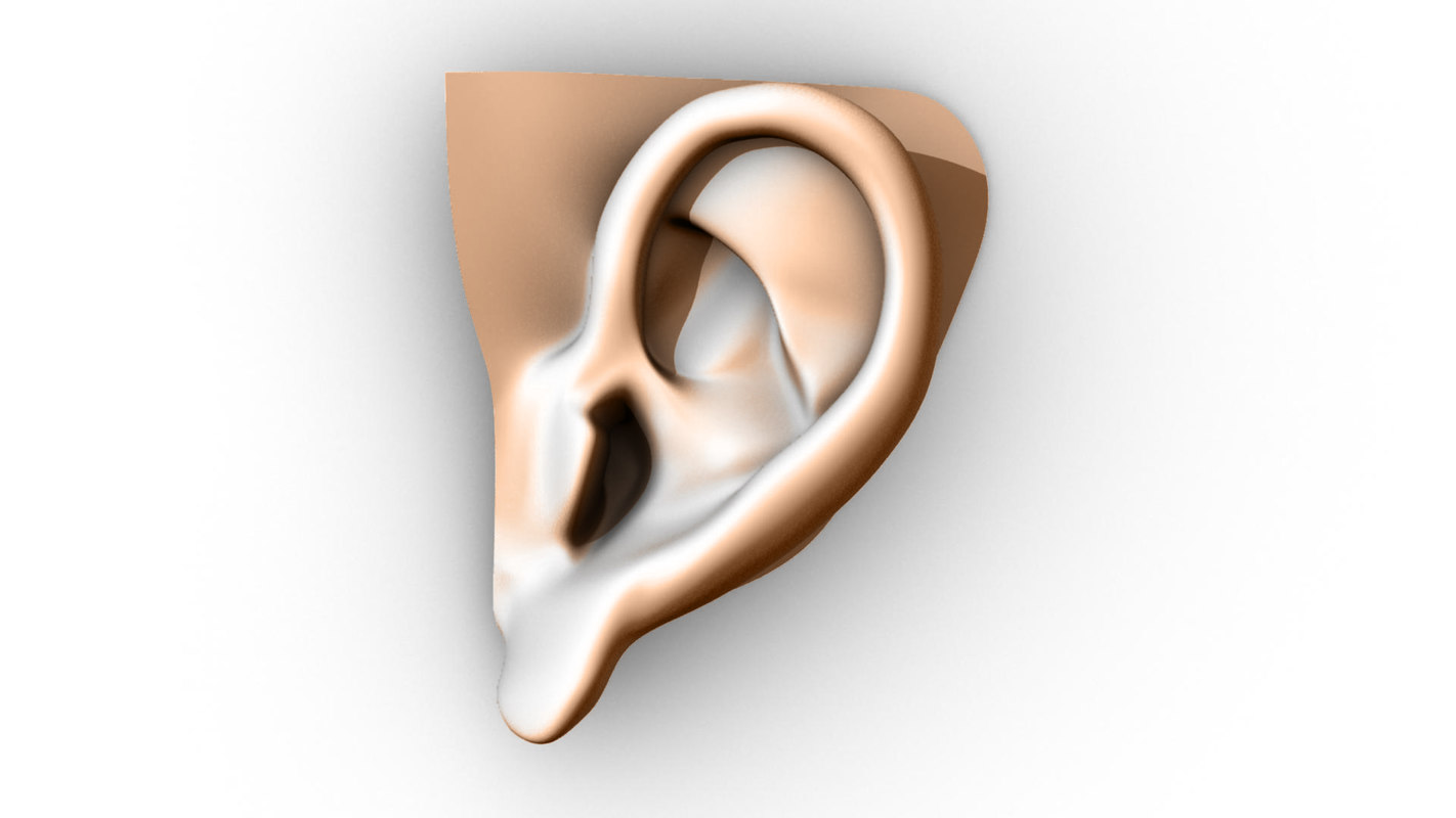 3d human ear model