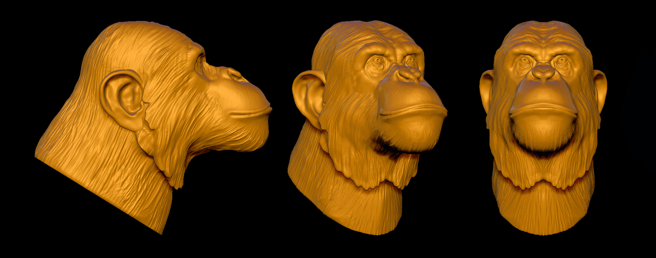 chimpanzee chimp head 3d model
