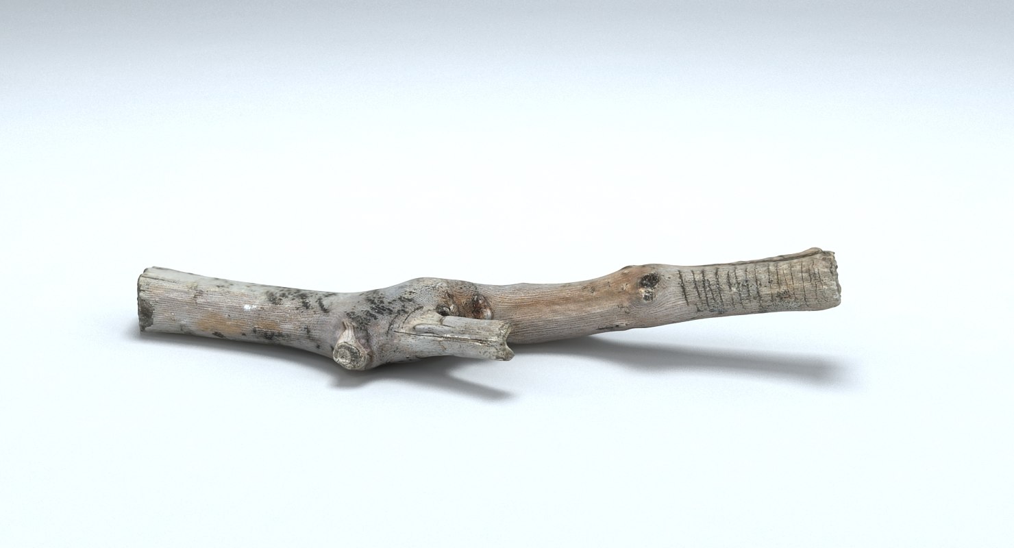 photorealistic stick 3d max