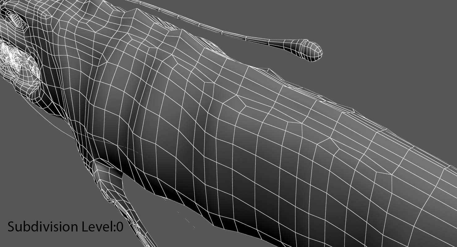 sea monster 3d model