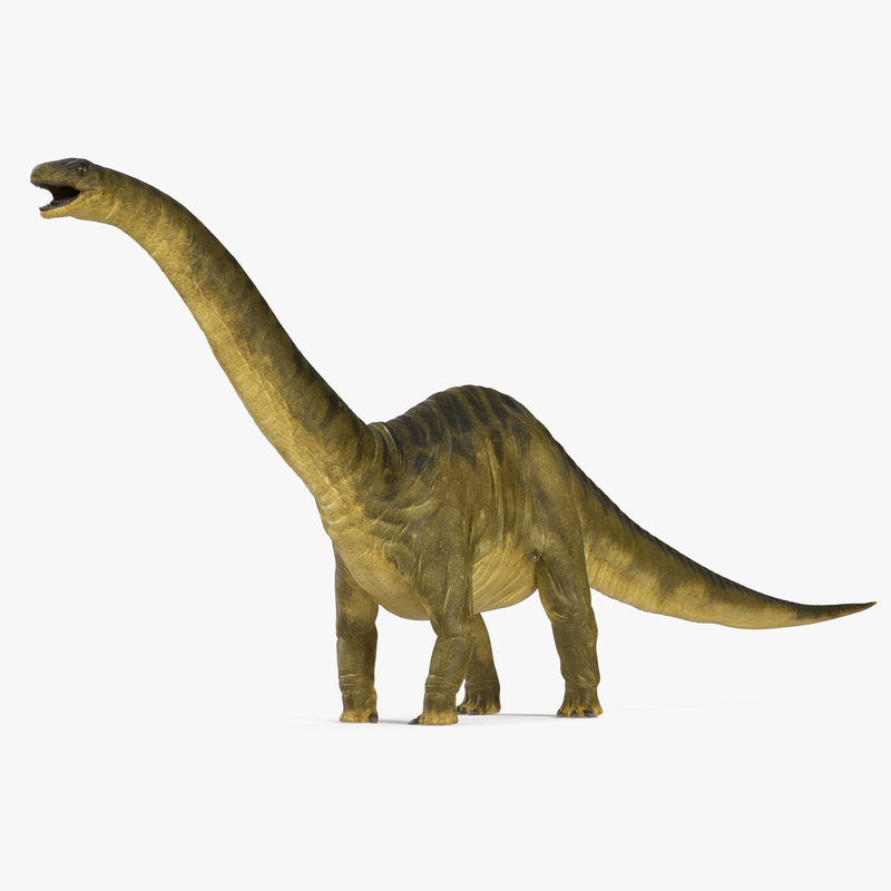 3d apatosaurus dinosaur model