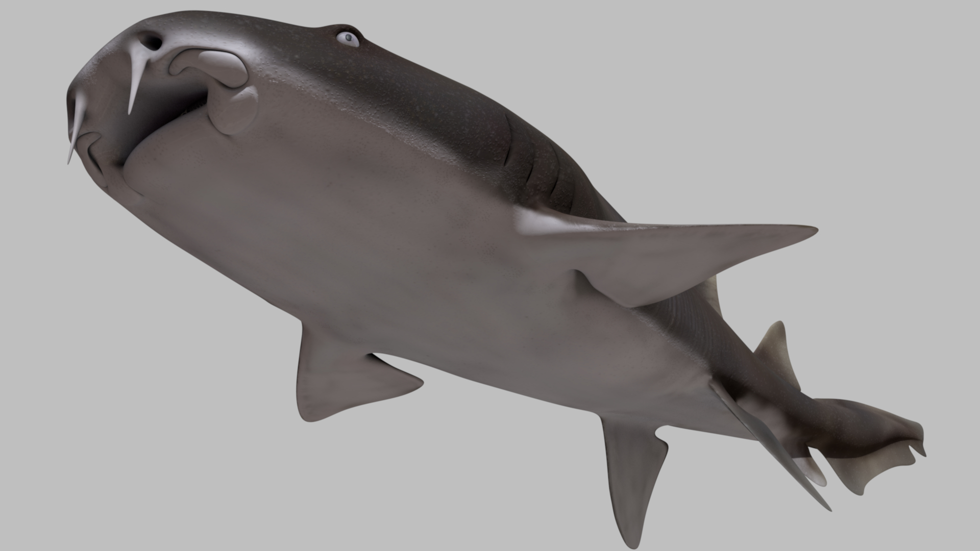 nurse shark 3d model