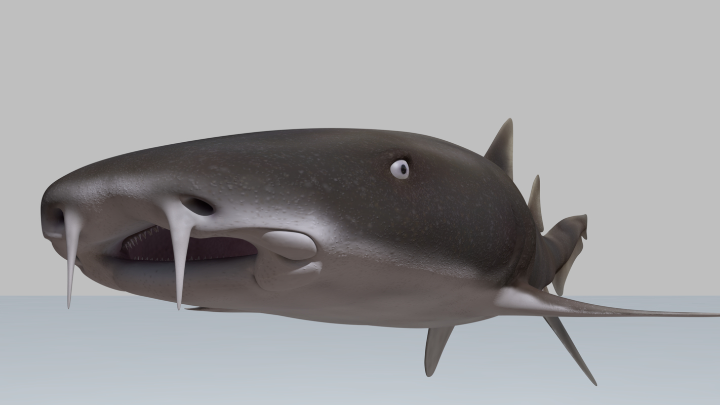 nurse shark 3d model