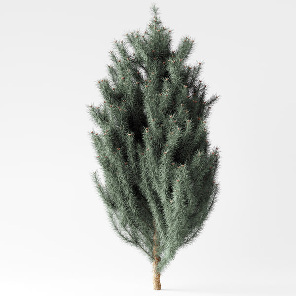 3d max pine tree