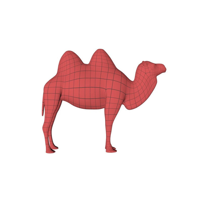 base mesh camel c4d