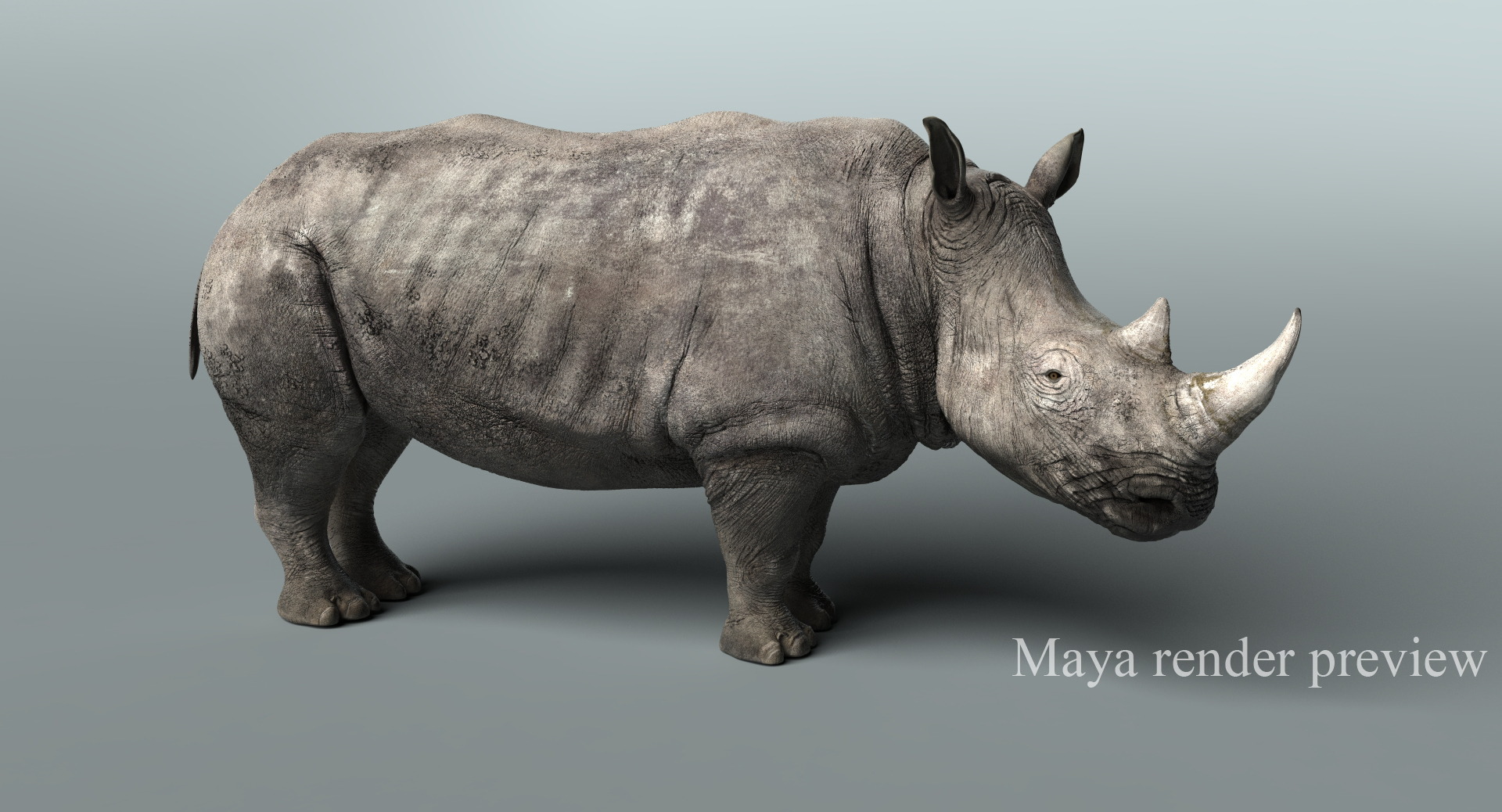 3d model rhino rigged