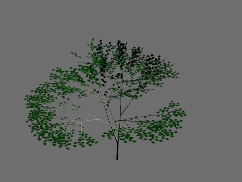 birch tree 3d max