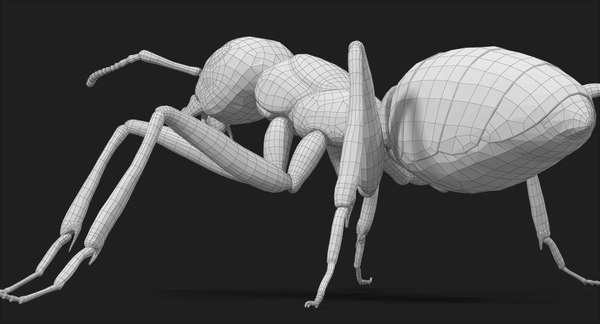 3d ant pose 3