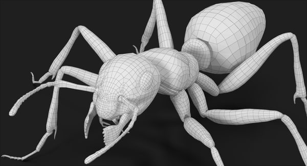 3d ant pose 3