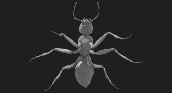 3d ant pose 3