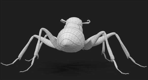 3d ant pose 3