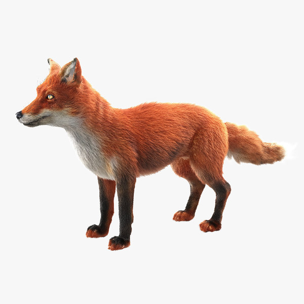 fox ornatrix zbrush 3d model