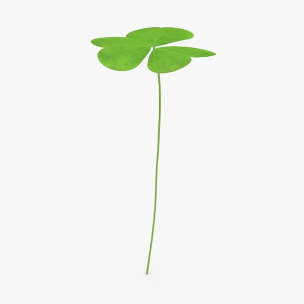 modelo 3d Trébol individual de pie - TurboSquid 1126550