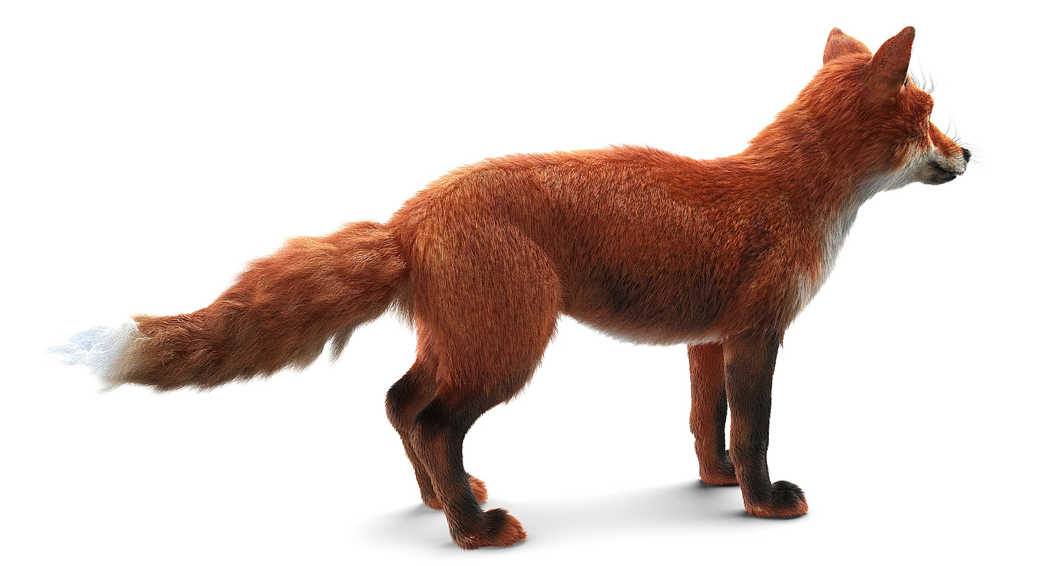 fox ornatrix zbrush 3d model