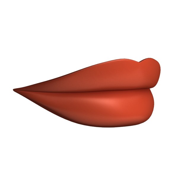 lips 3d model