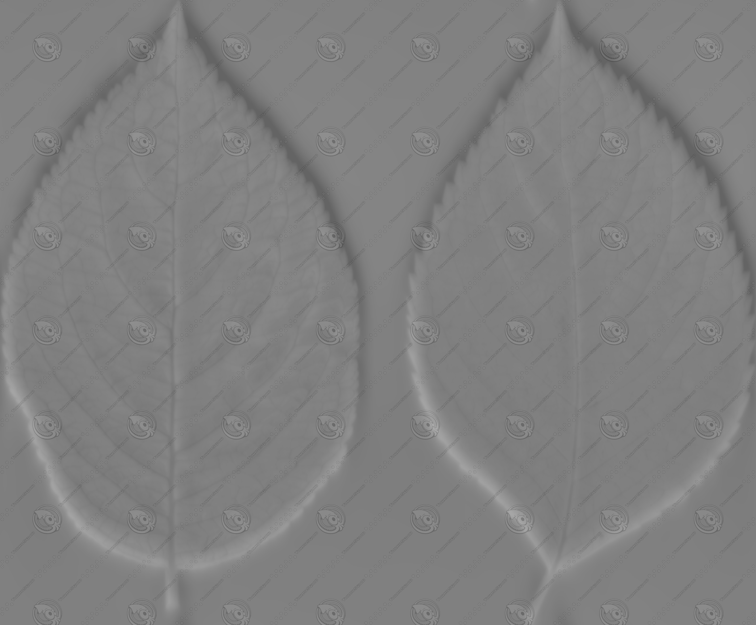 realistic leaf 3d model