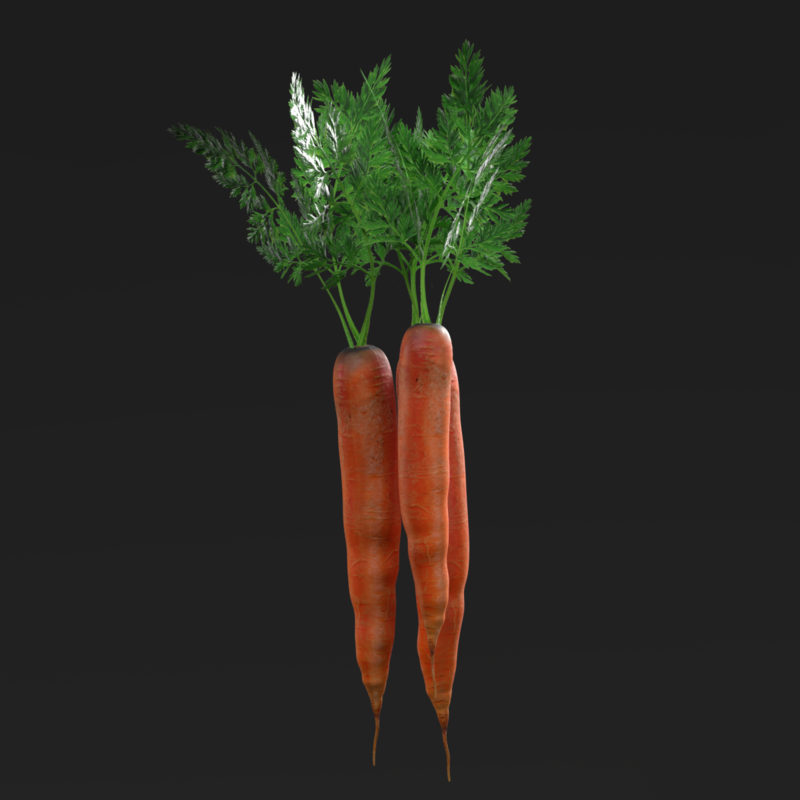 3d carrot