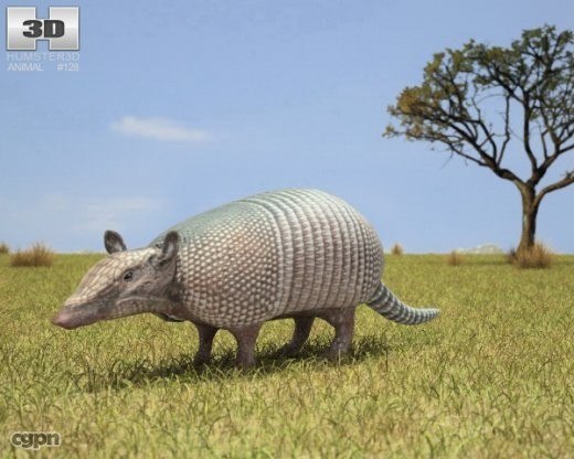 modelo 3d Armadillo - TurboSquid 1131358