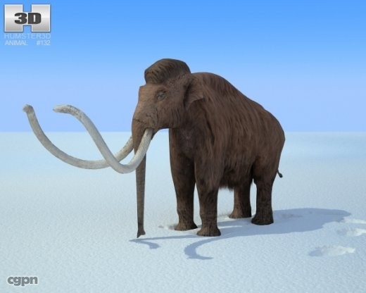 Mammoth 3D Models for Download | TurboSquid