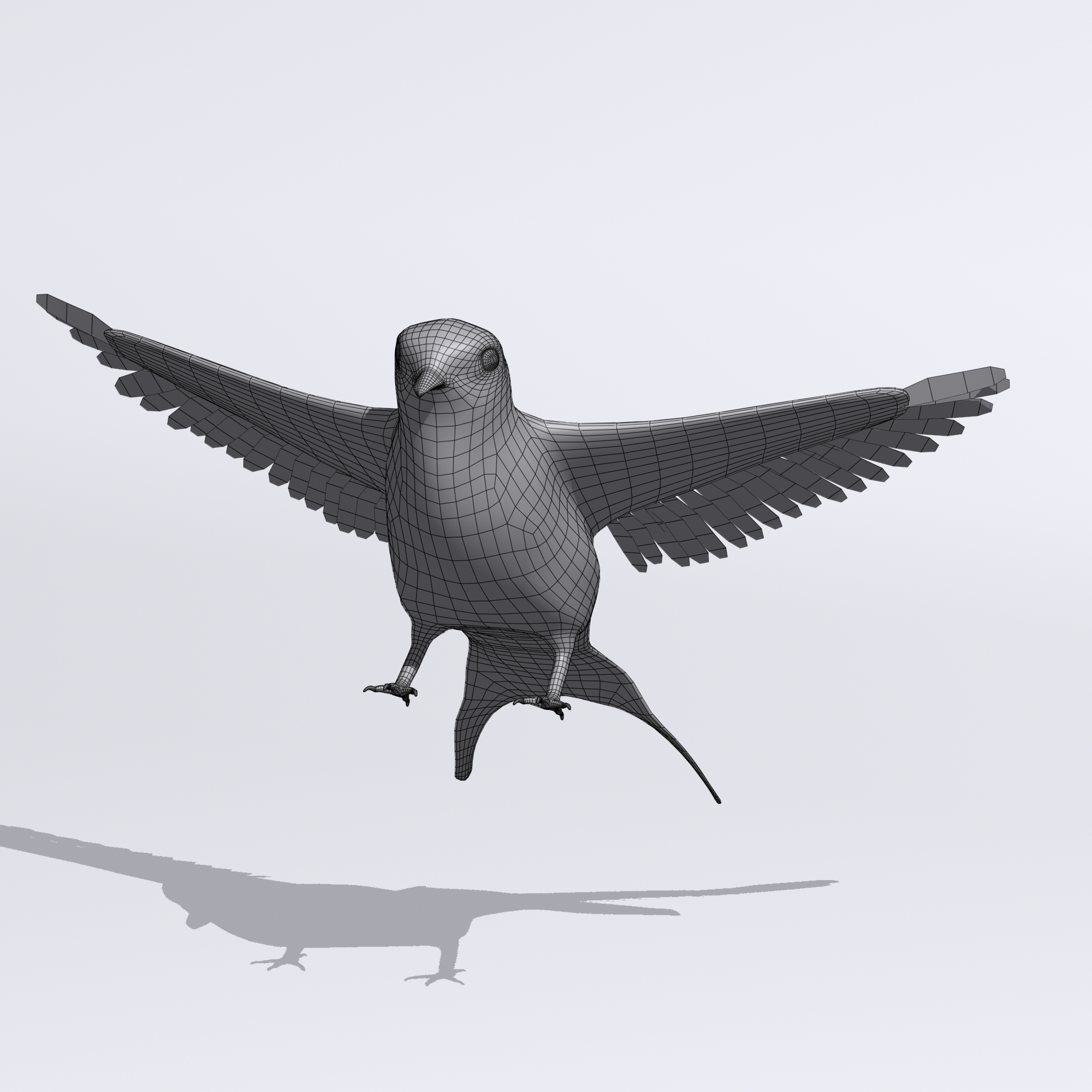 swallow 3d model