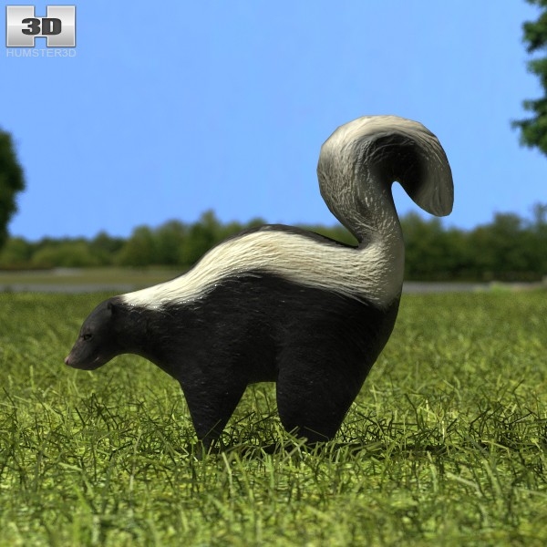 3ds skunk