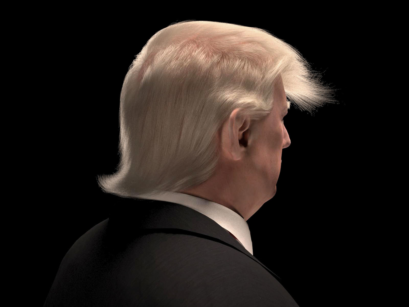 donald trump max