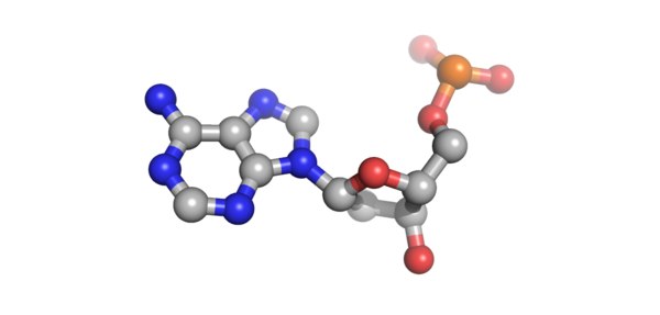 3D RNA Models | TurboSquid