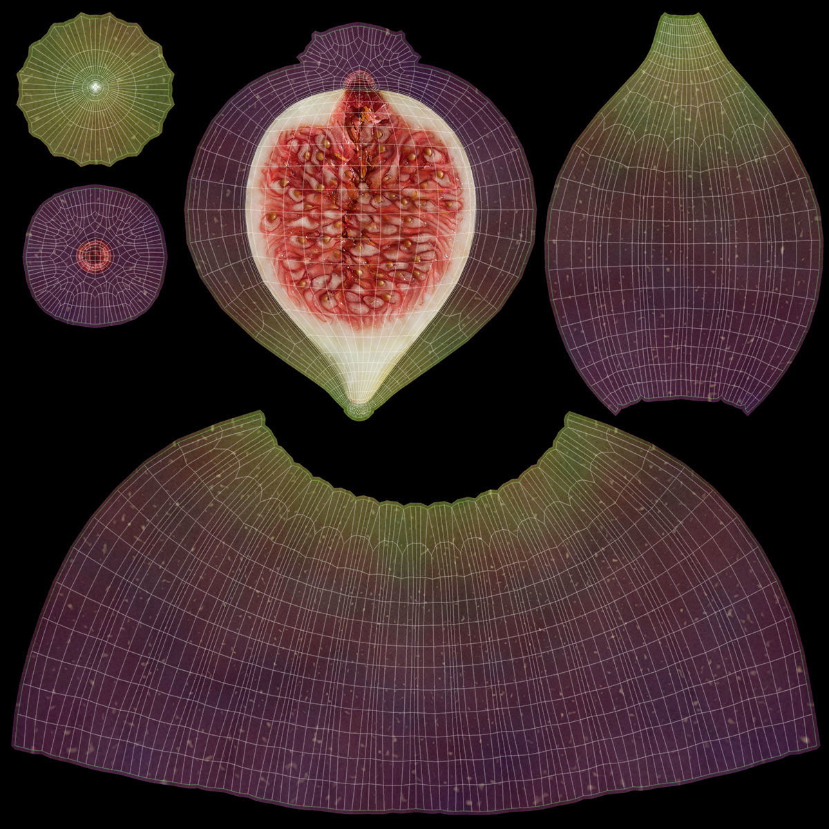 realistic figs 3d model