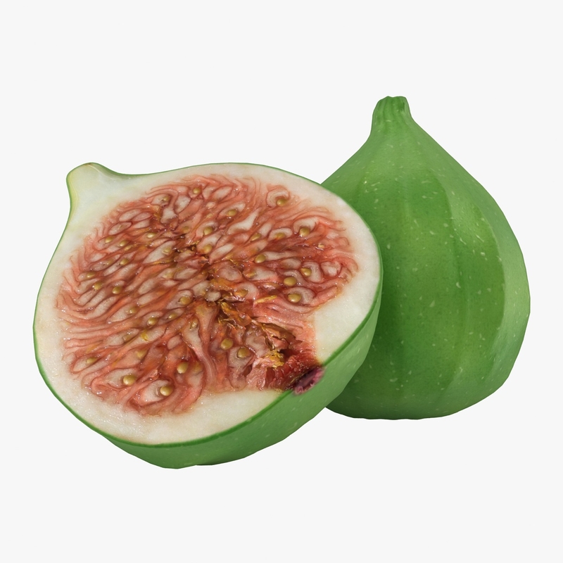 3d model realistic figs green