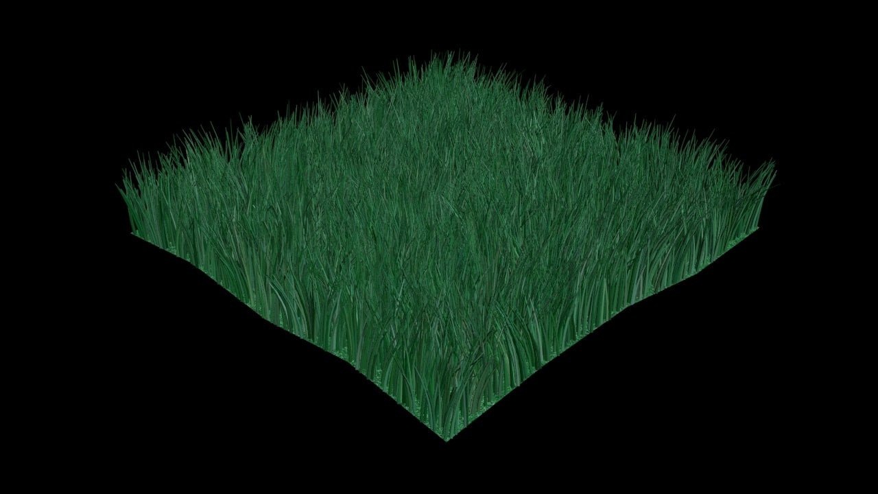 green grass 3d max