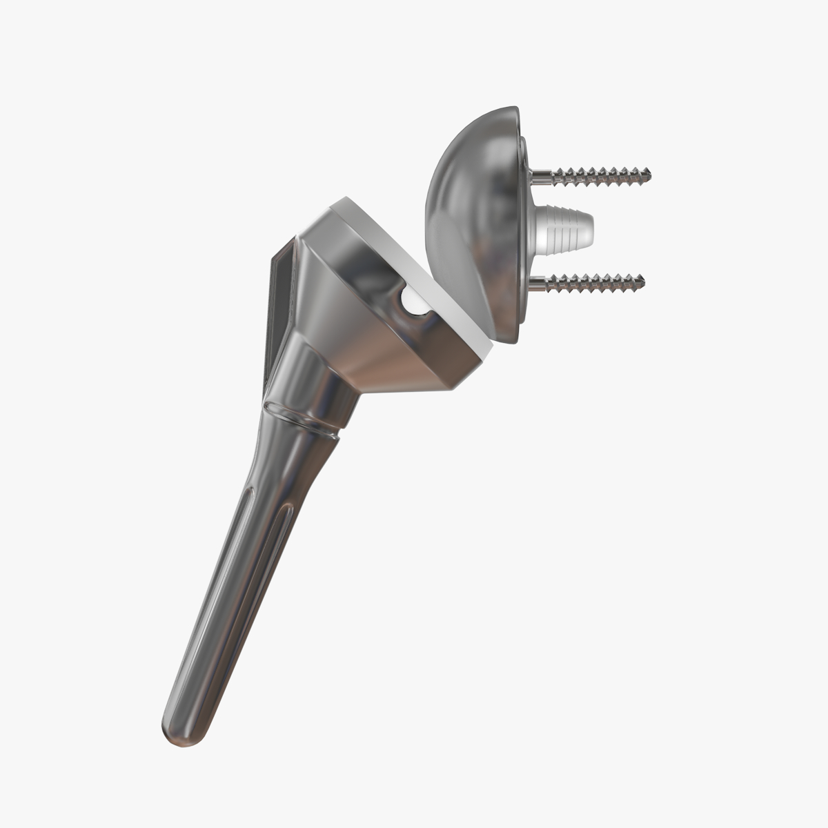 metal prosthesis c4d