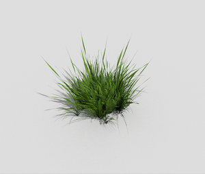 Blender Grass Models | TurboSquid