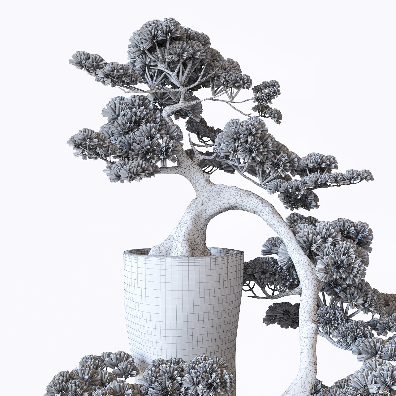 3d model bonsai