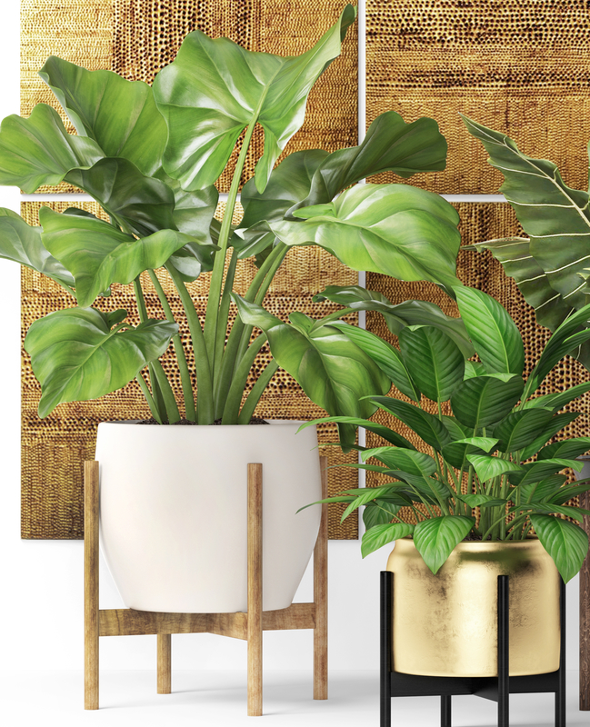 3d plants pot model