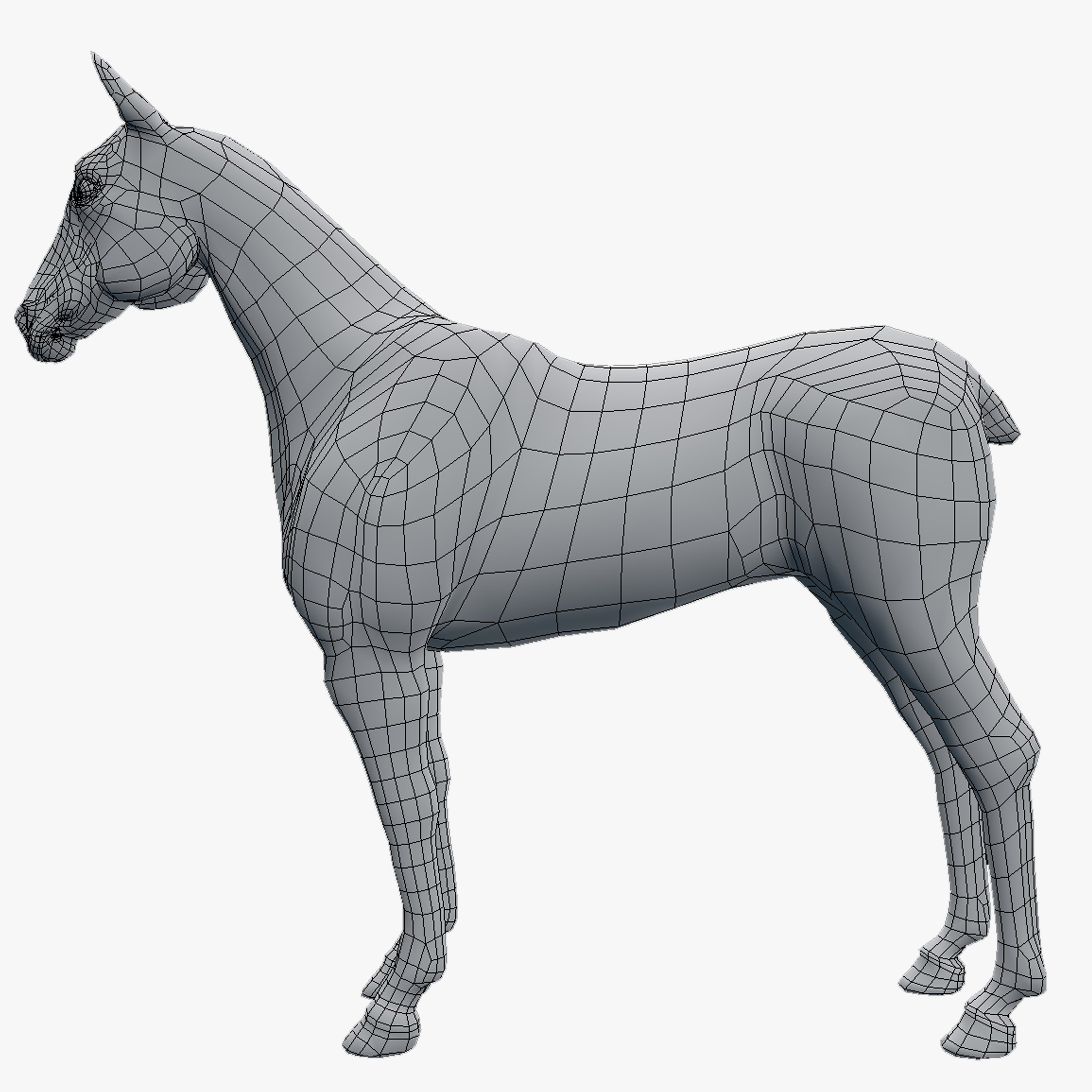 3d model fast riding horse