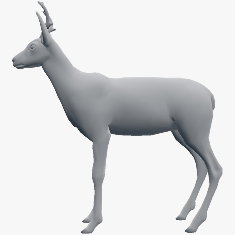 狍子3D模型 - TurboSquid 1129689