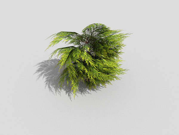Bush Blender Models for Download | TurboSquid