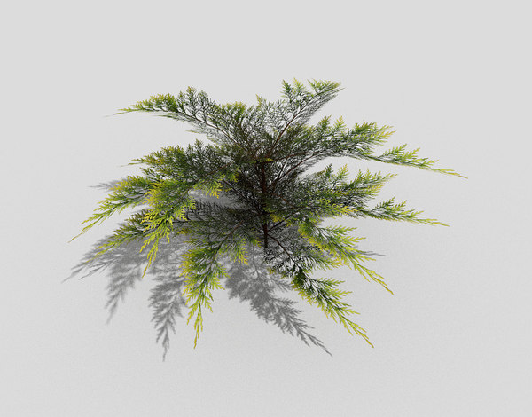 Bush Blender Models for Download | TurboSquid