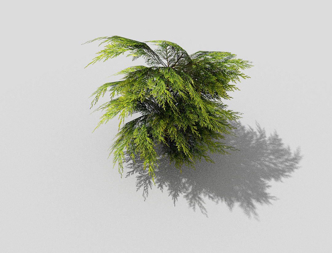 shrub 3d model