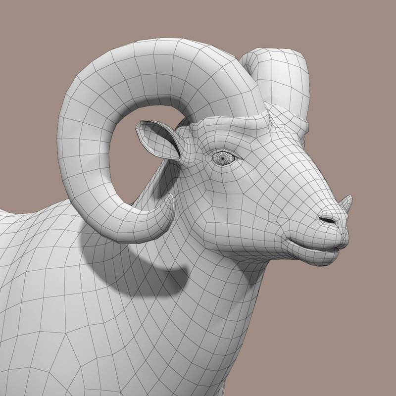3d model bighorn sheep rigged horns