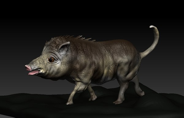 Boar 3D Models for Download | TurboSquid