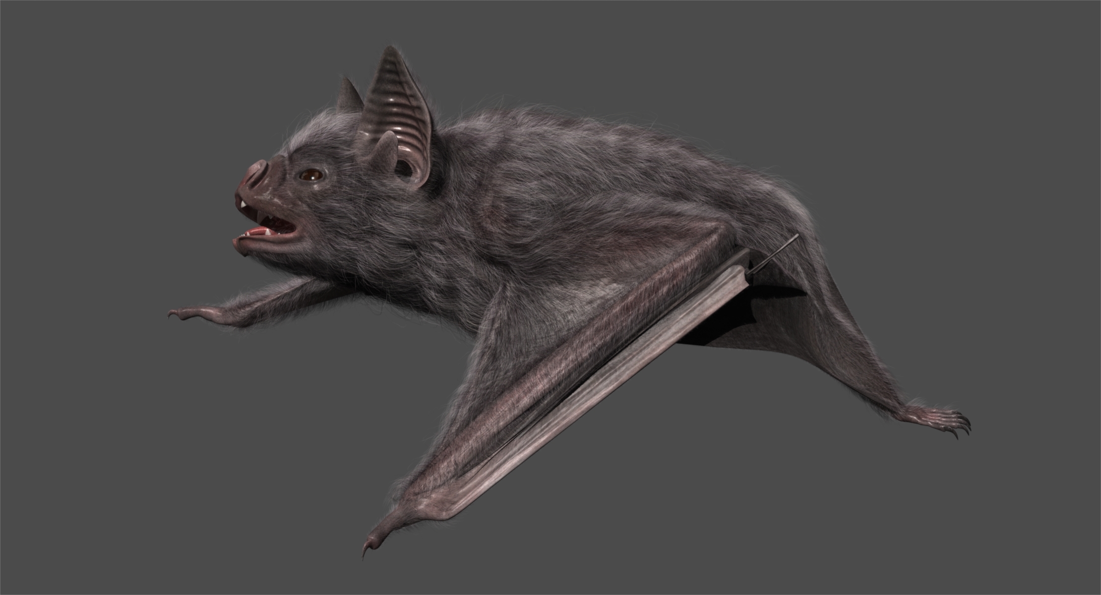 vampire bat 3d model