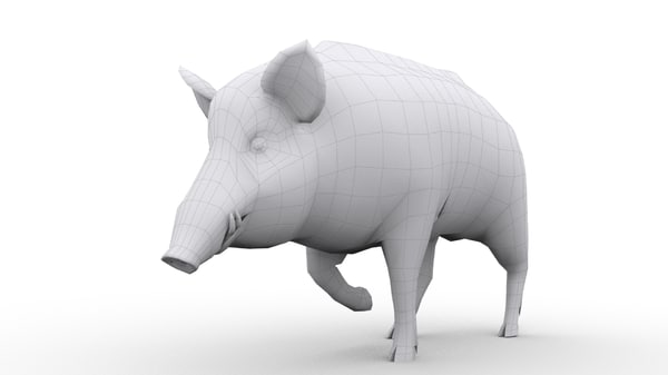 wild boar animations max