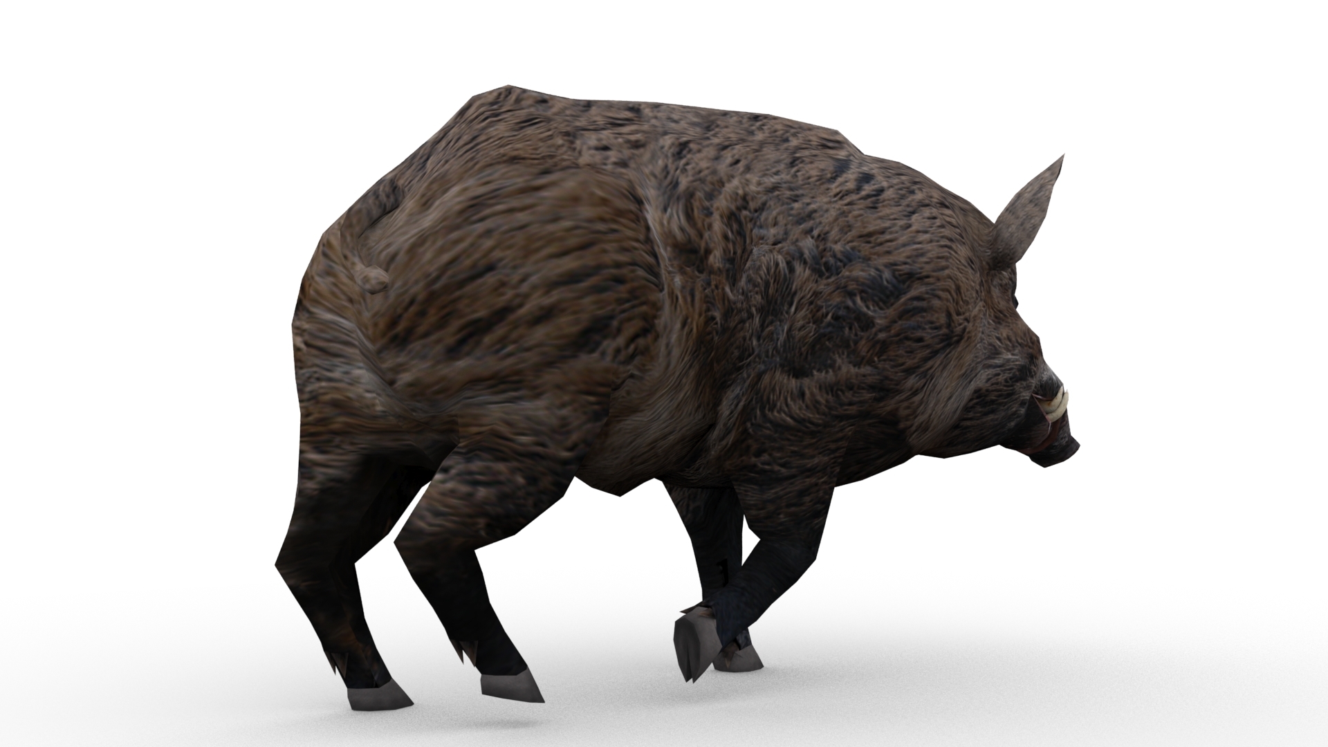 wild boar animations max