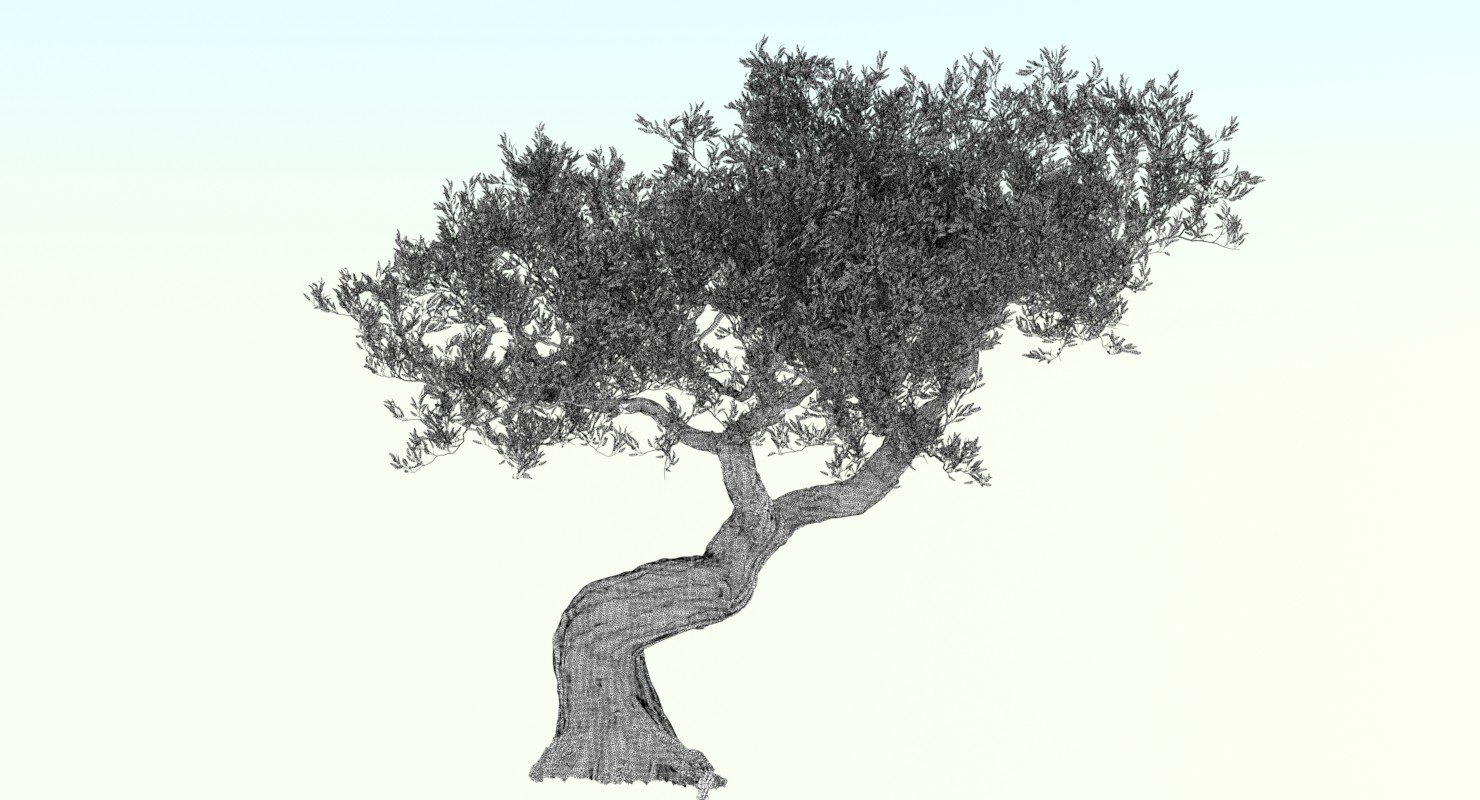 olive tree 3d max