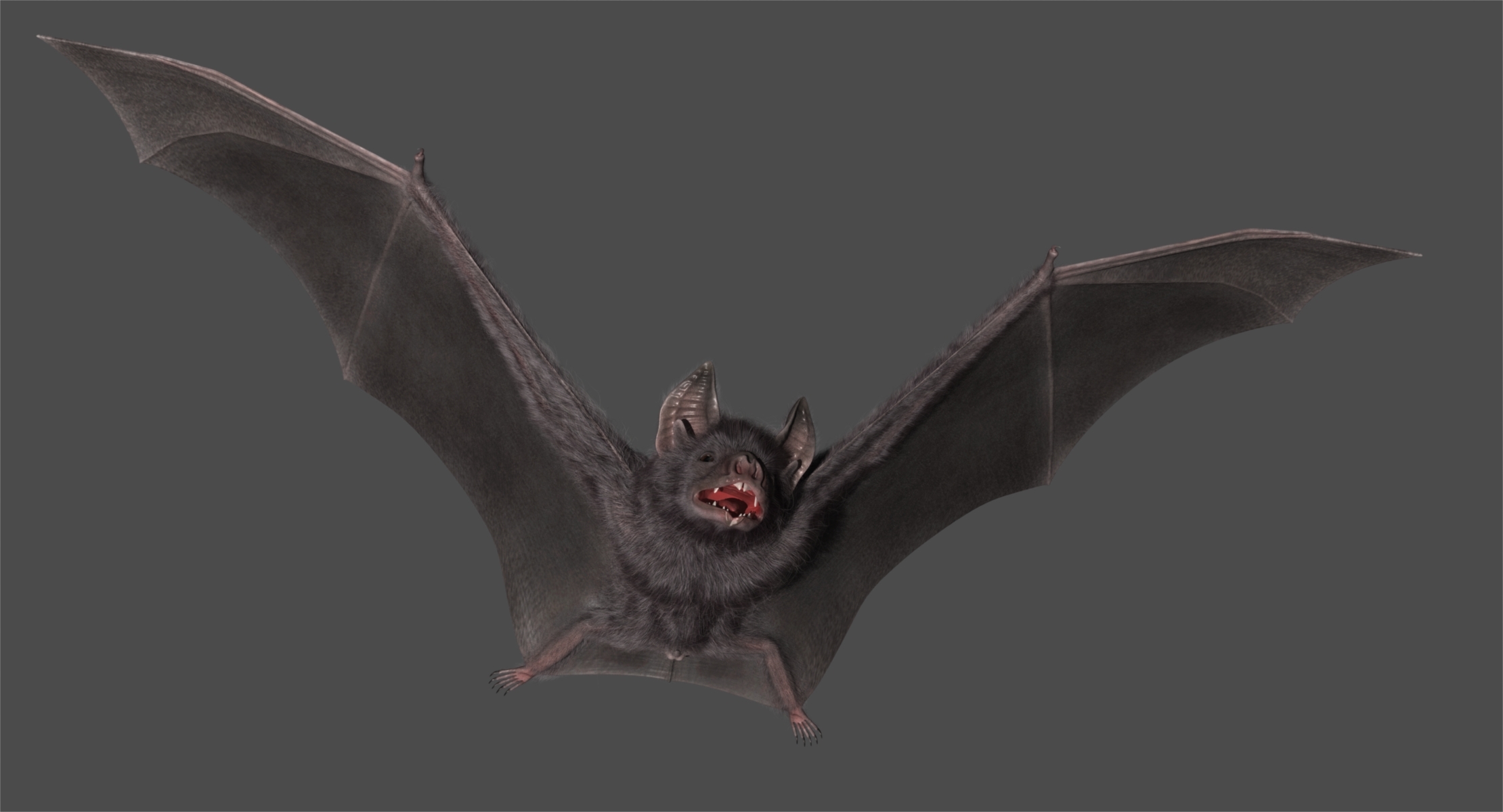 vampire bat animation obj
