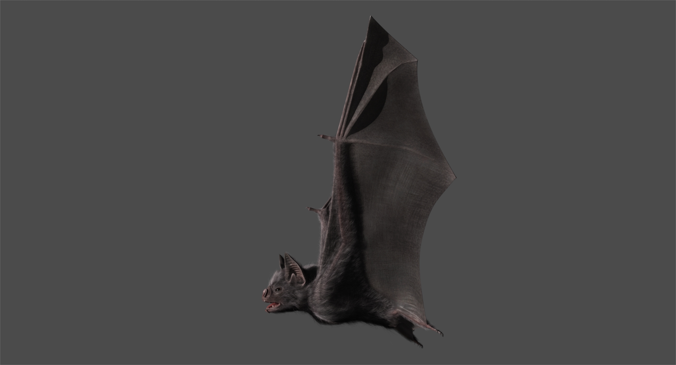 vampire bat animation obj