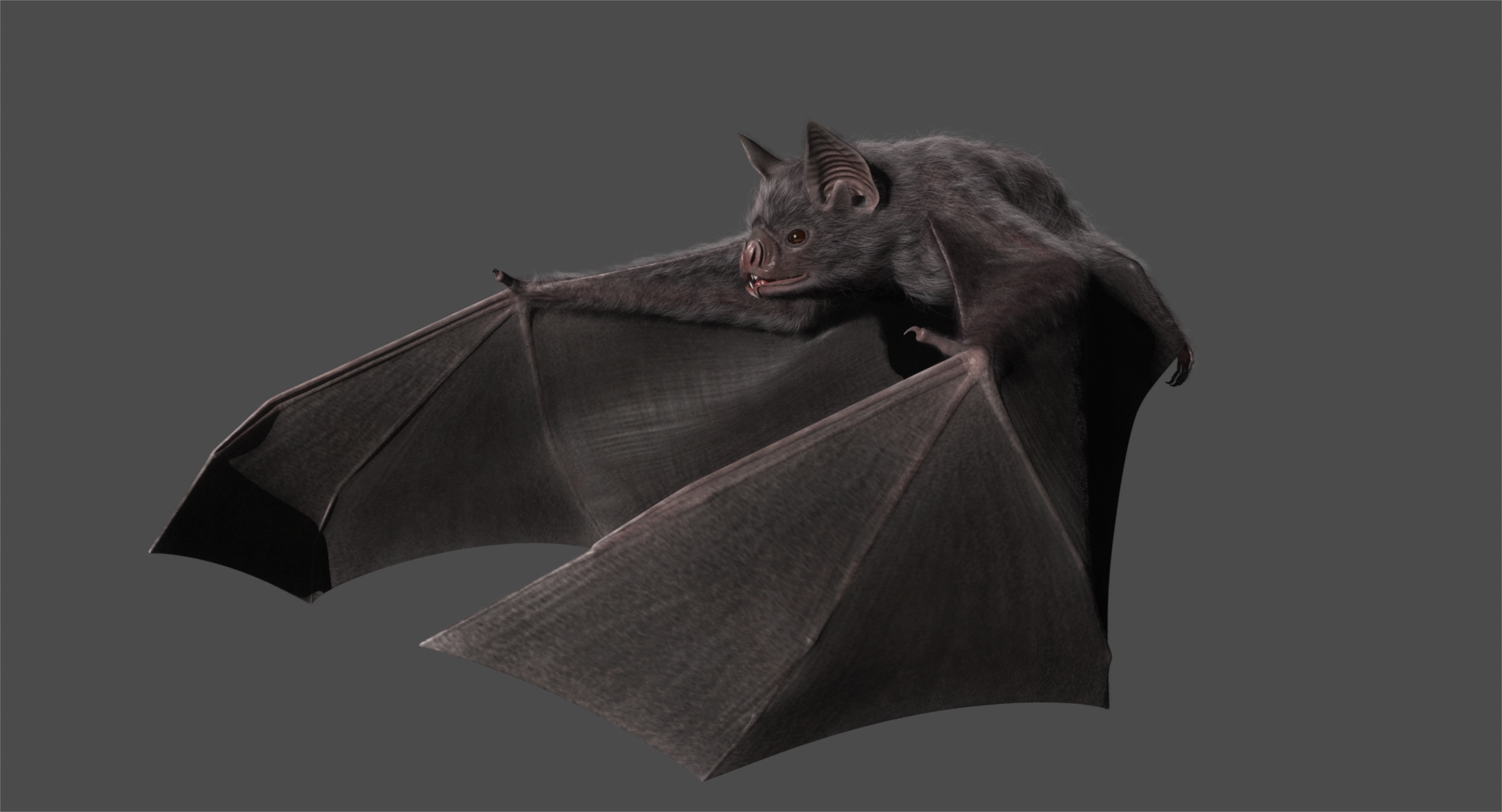 vampire bat animation obj