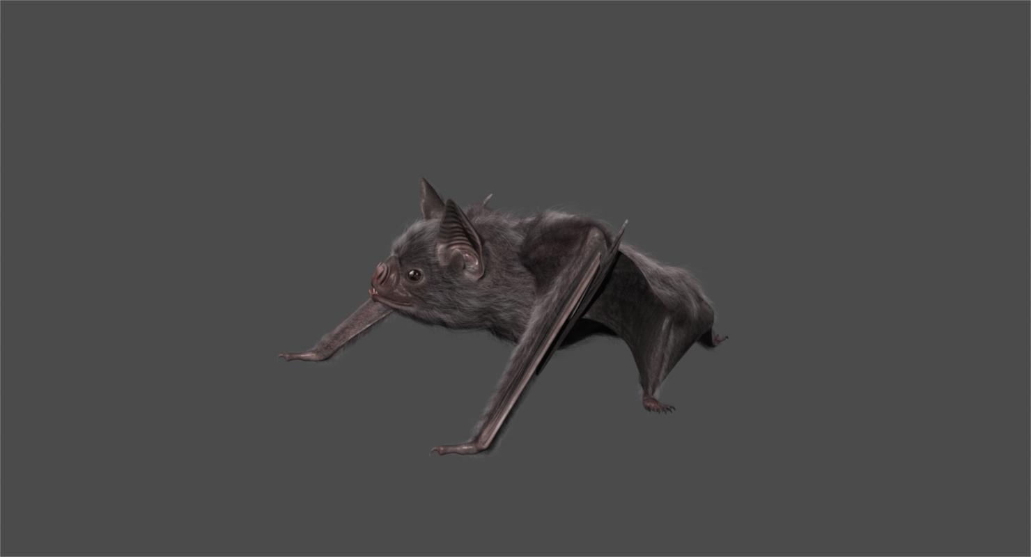 vampire bat animation obj