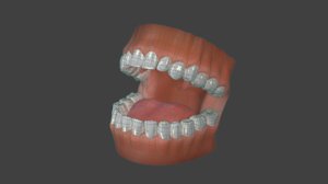 Mouth Blender Models for Download | TurboSquid